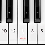 Numbered Notes Home - Piano Key Stickers | Because You Can